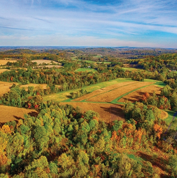 Crebilly Farm