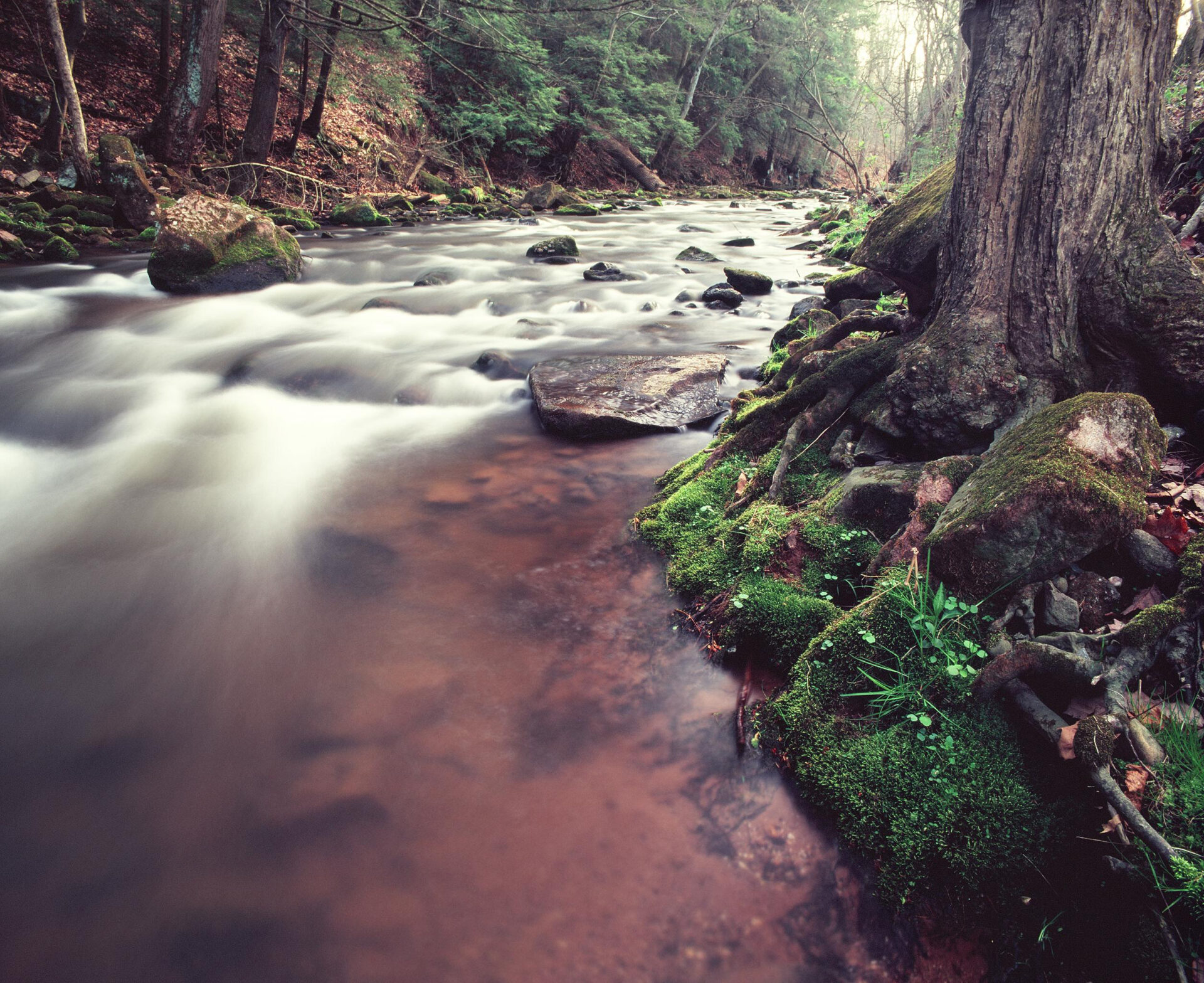 Why does protecting land matter? | Natural Lands