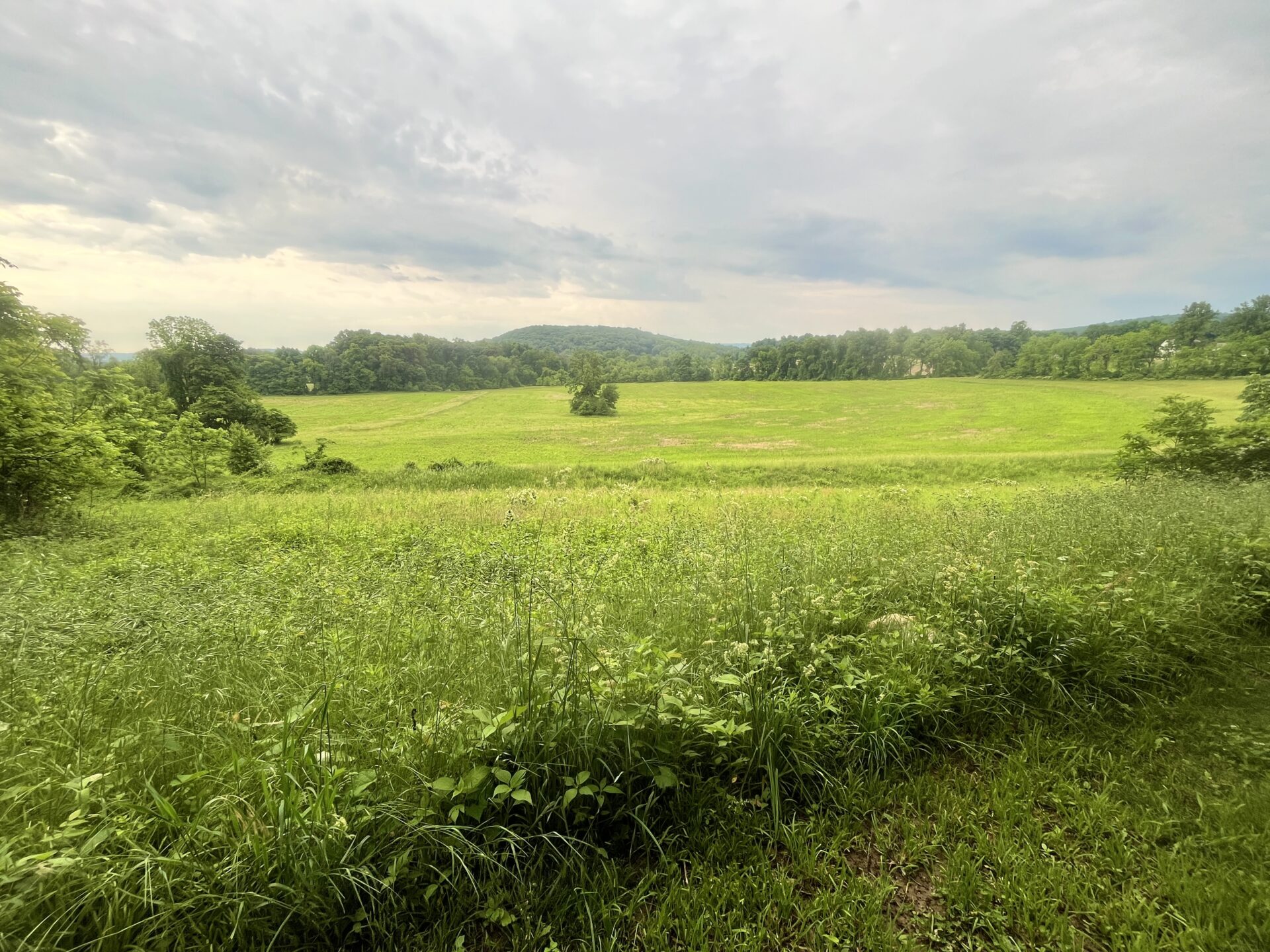 Bryn Coed Preserve | Natural Lands