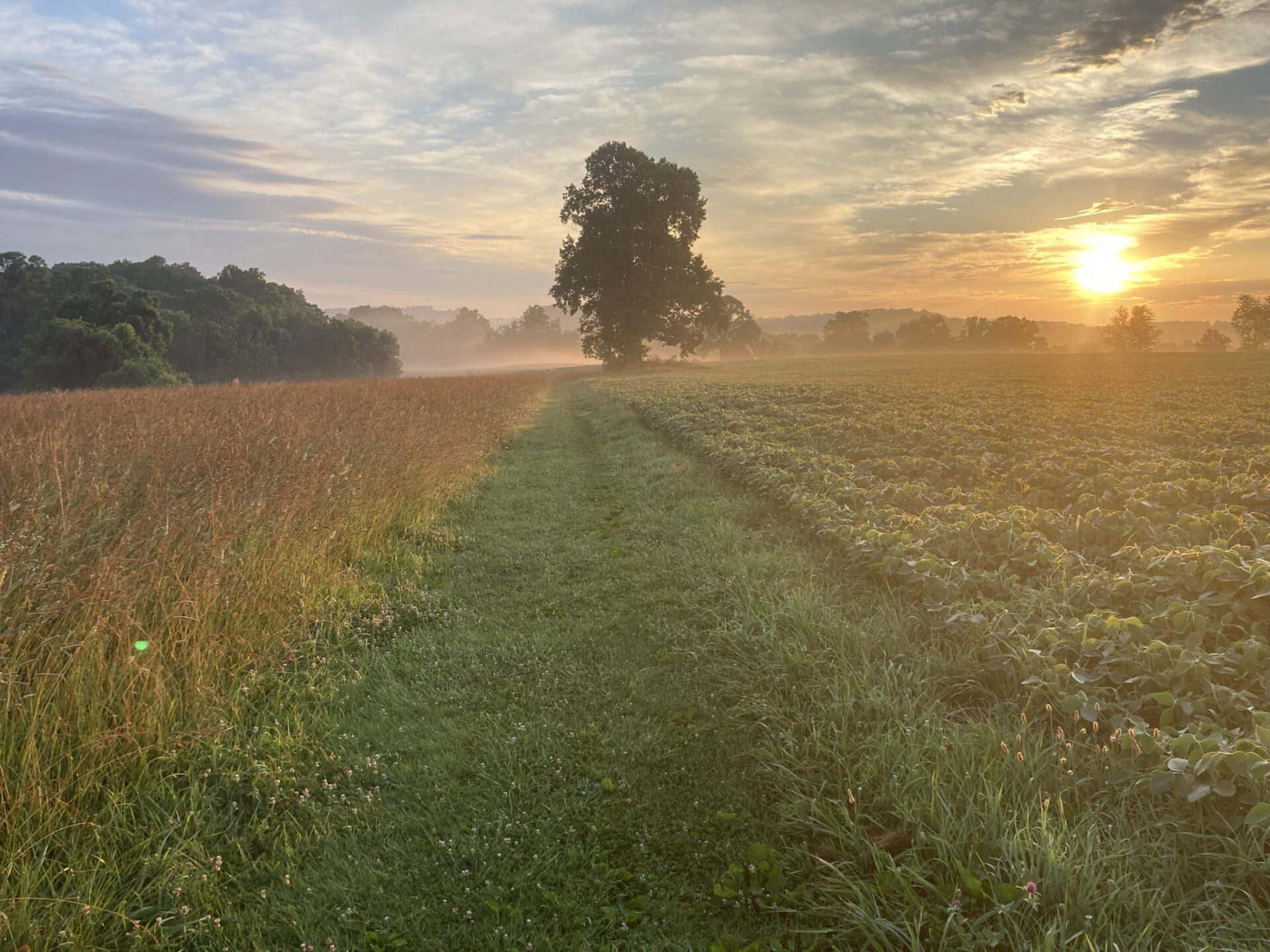 ChesLen Preserve | Natural Lands