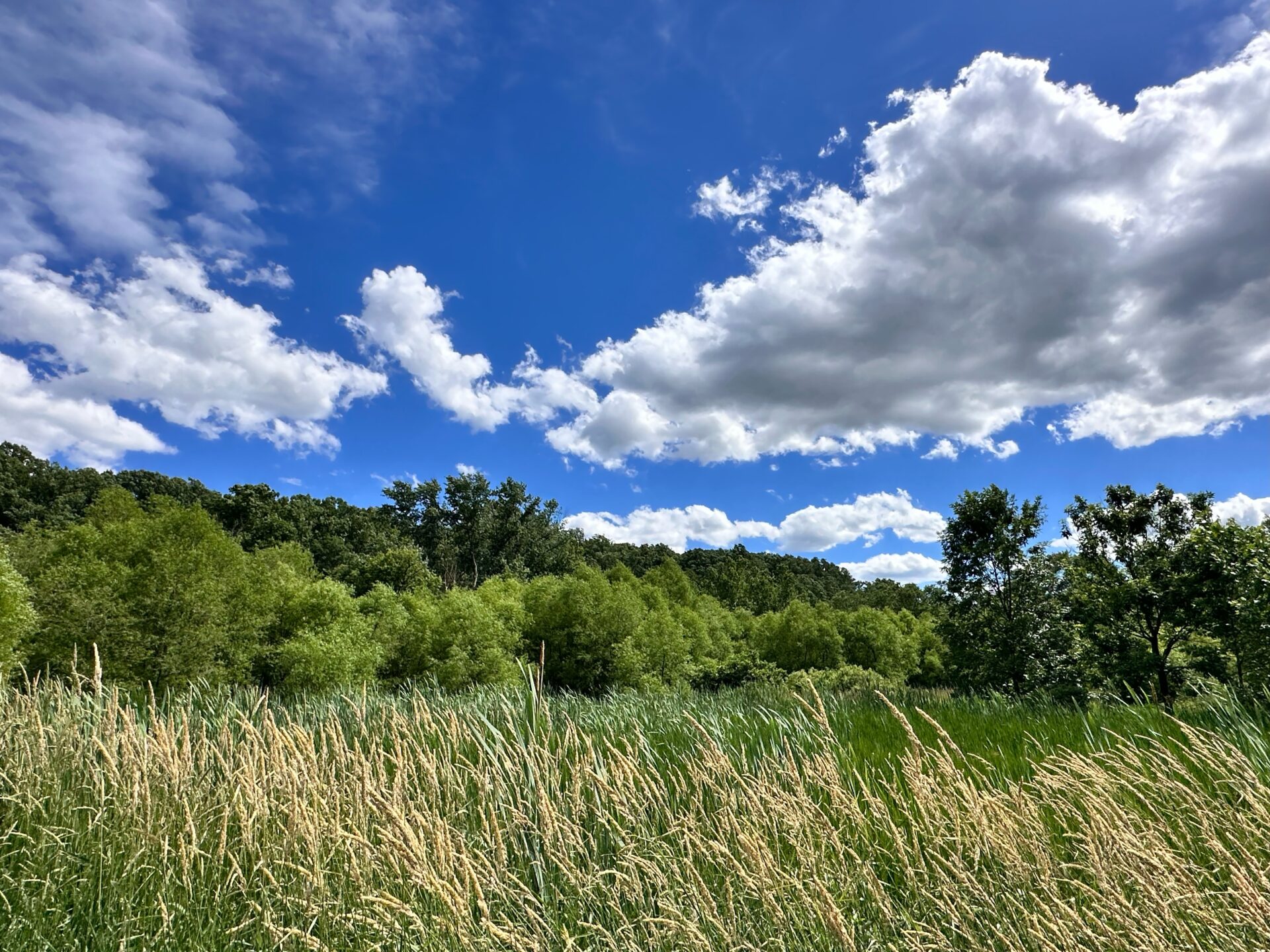 ChesLen Preserve | Natural Lands