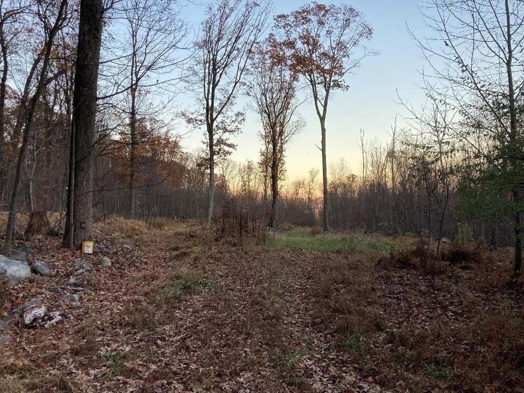 Saving a Kittatinny Forest for People and Songbirds