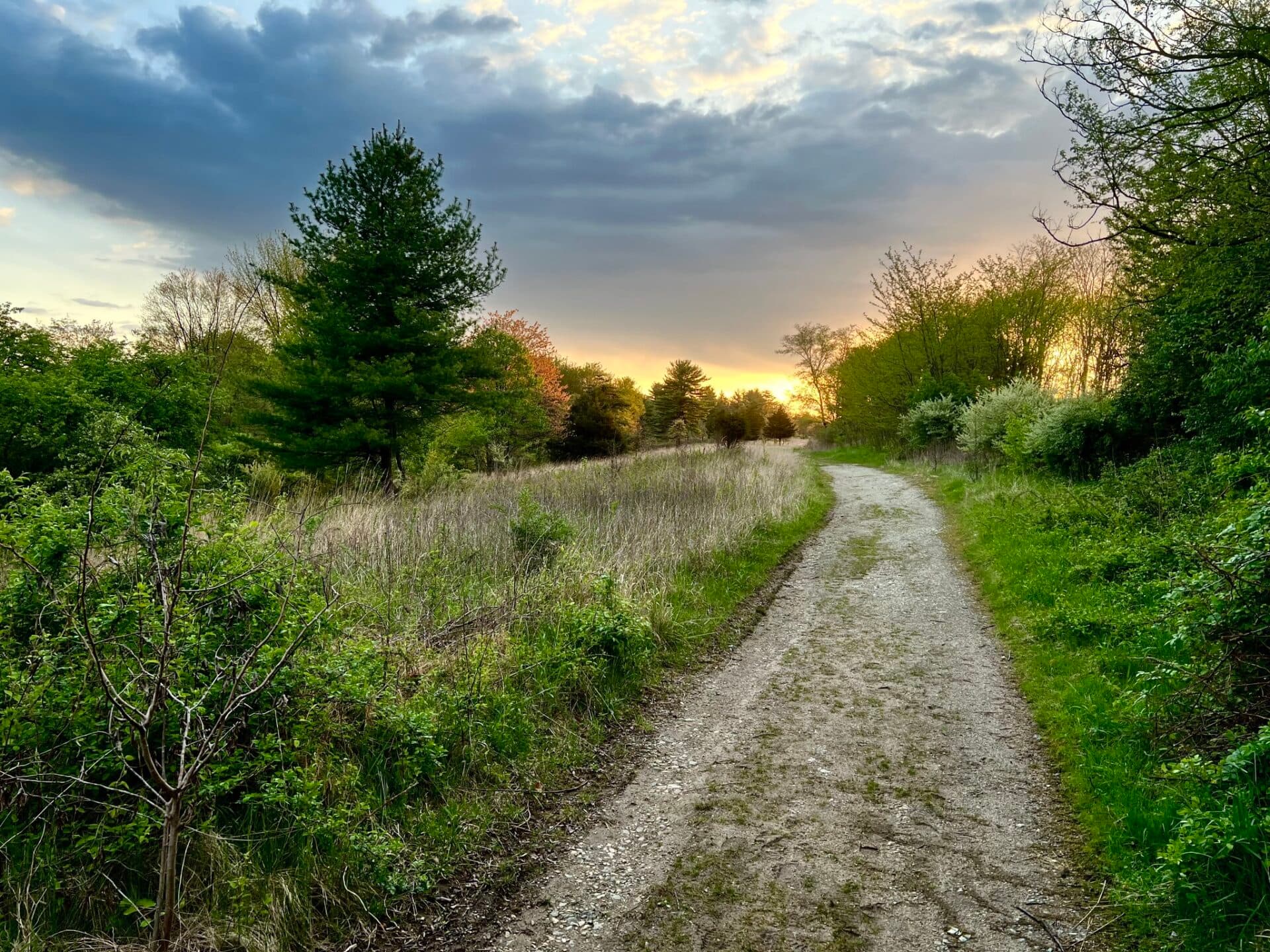 Willisbrook Preserve | Natural Lands