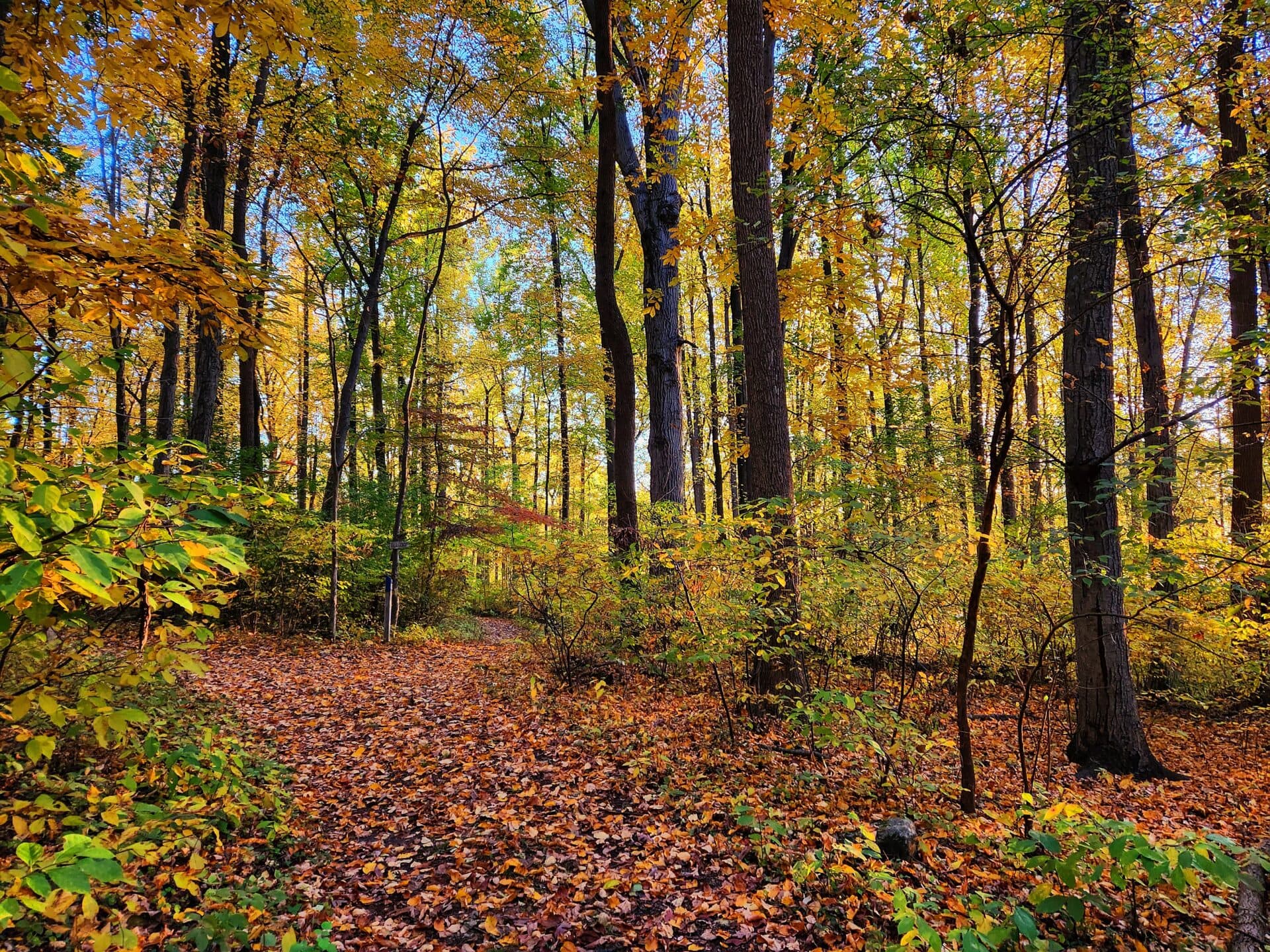 stewardship planning | Natural Lands