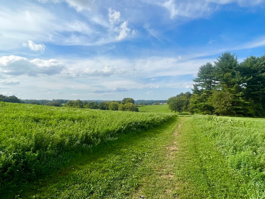 Natural Lands | Land for Life. Nature for All.