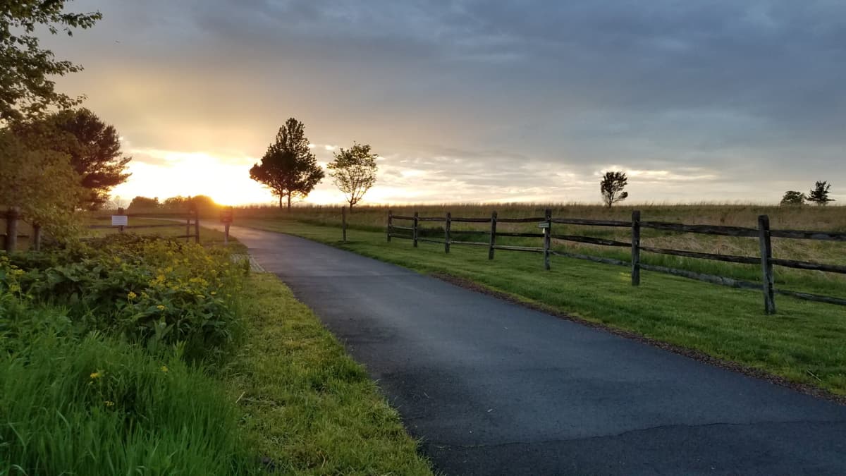 Are Natural Lands' properties accessible?