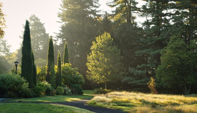 Welcome to Stoneleigh: A Natural Garden